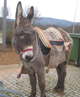 Palmilheiro: Trilho dos Caretos (com os burros de Miranda)