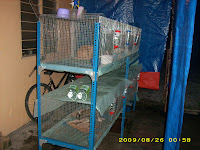 RABBIT-JAN.....HOBI BUKAN LAGI MEMBUANG DUIT TAPI SEBALIKNYA ...