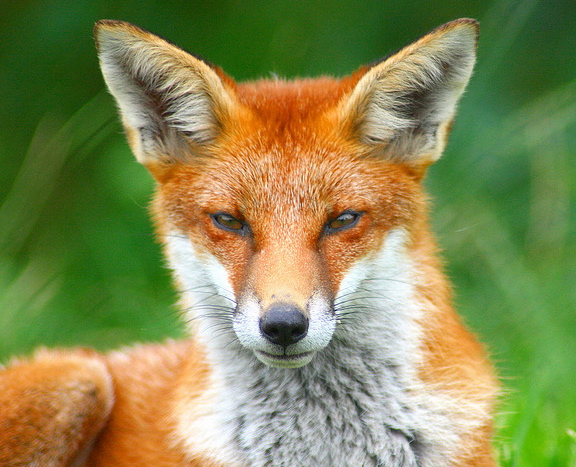 WISE WORDS: It is the circle of life.