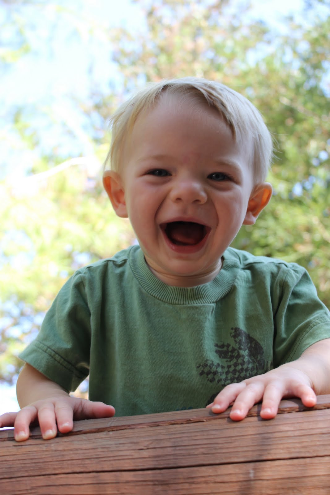 I heart Lu Bird Baby. | Joy's Hope