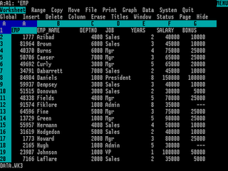 Mixed Bag of Sid: Disk Operating System (DOS)