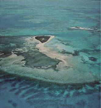 DESDE YUCATAN, DE TODO UN POCO: ARRECIFE ALACRANES, AVENTURA MARINA