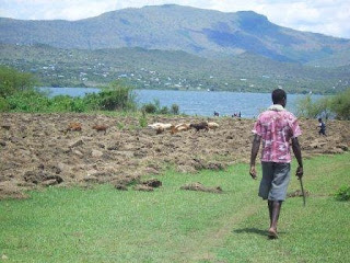 Mbita Point Pot: nice holiday spot? Talk to me