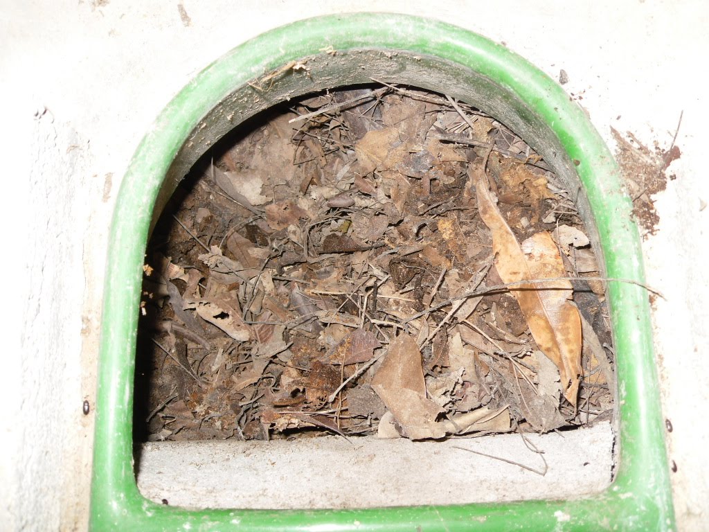 Farm, yeah: composting human waste - humanure