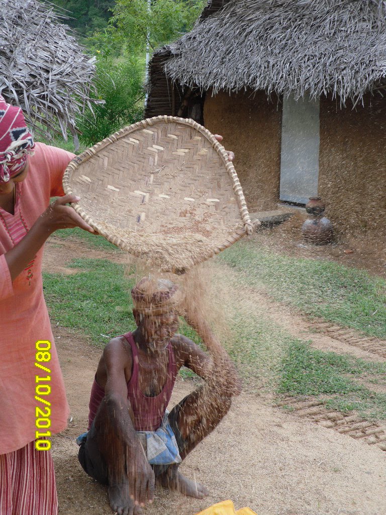 Farm, yeah: ragi - processing and onwards