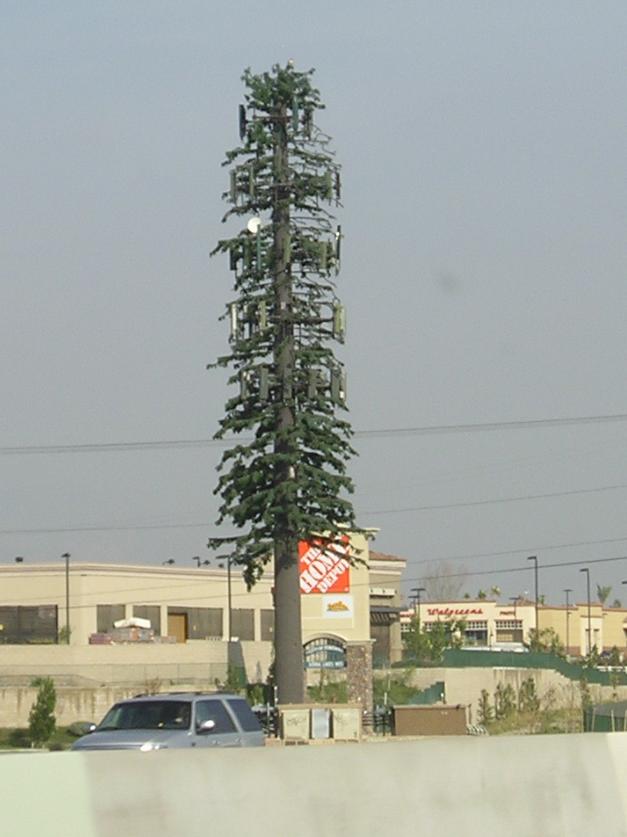 The Non-Dog Blog: The Cell Phone Tower Fake Trees