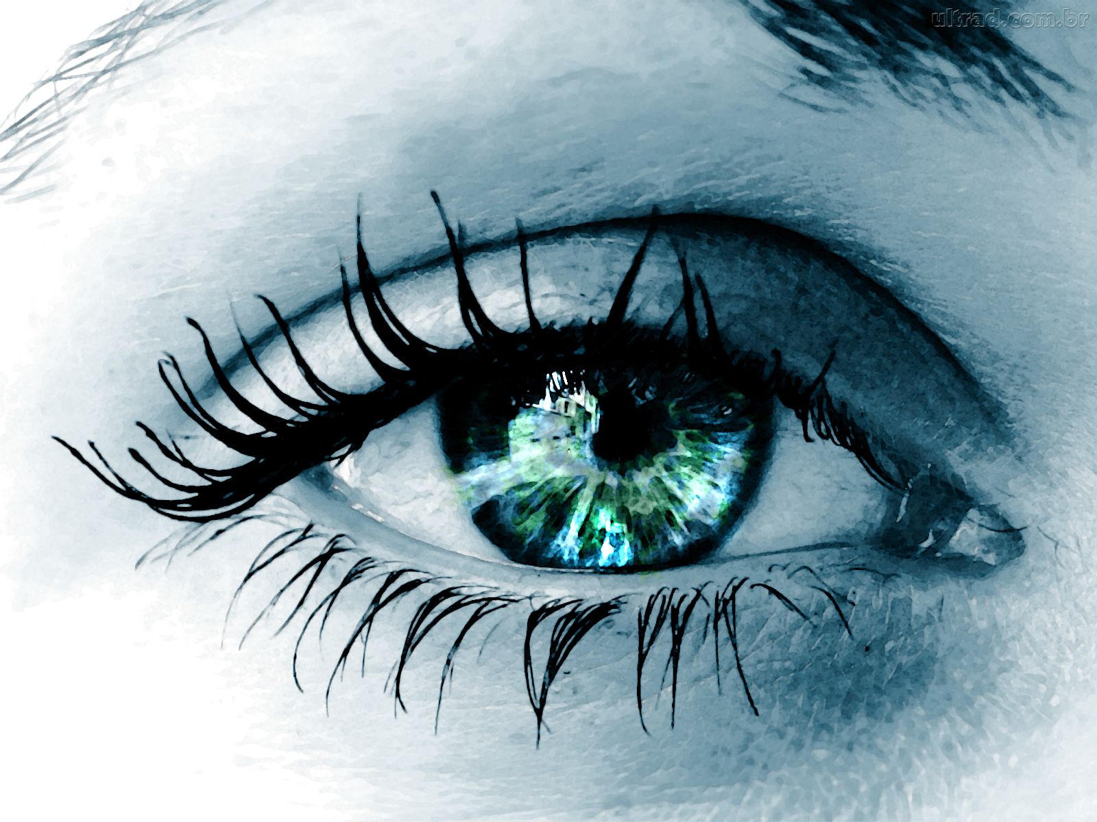 O Segredo da Rosa Azul: Aquele olhar...