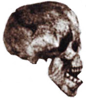 Reck's Skeleton Mystery