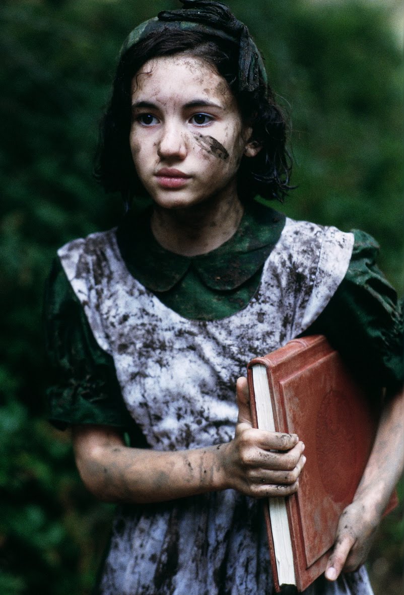 Brooke's Critical Discourse: Pan's Labyrinth Critique