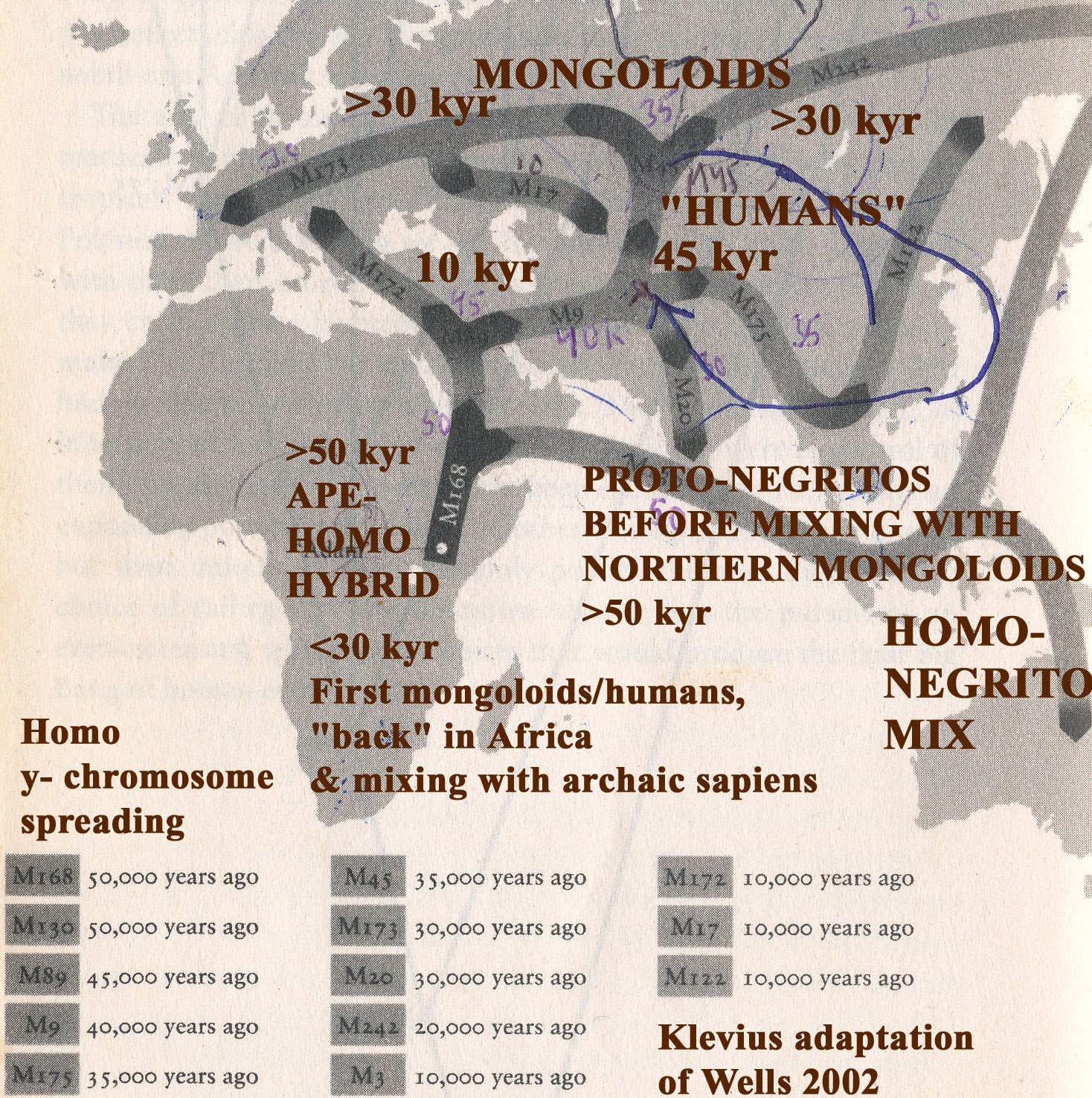 Out of Eurasia as bipedal apes and out of Siberia as global "Mongoloids ...