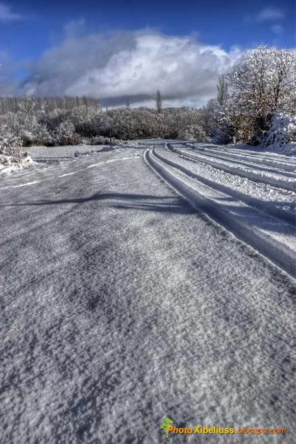 Desde Sanabria: Cae la nieve