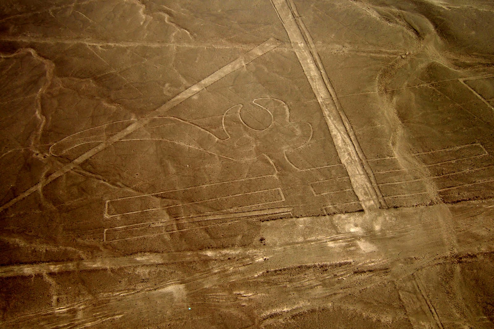 Born Under a Wandering Star: The Nazca Lines