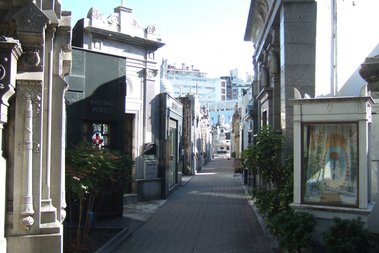 Born Under a Wandering Star: Buenos Aires La Recoleta