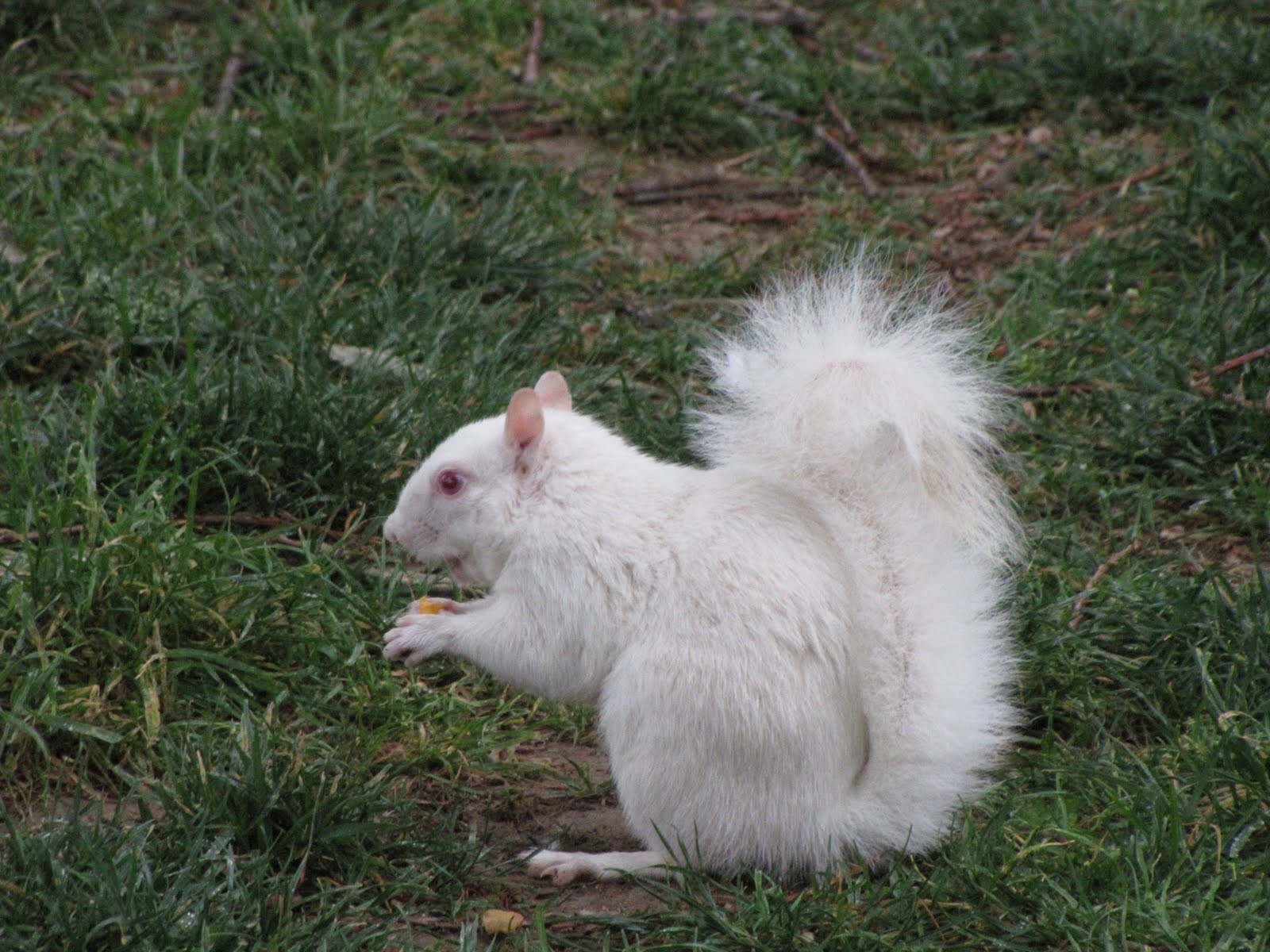 Southern New England Outdoor and Nature Site: Washington DC/ White ...