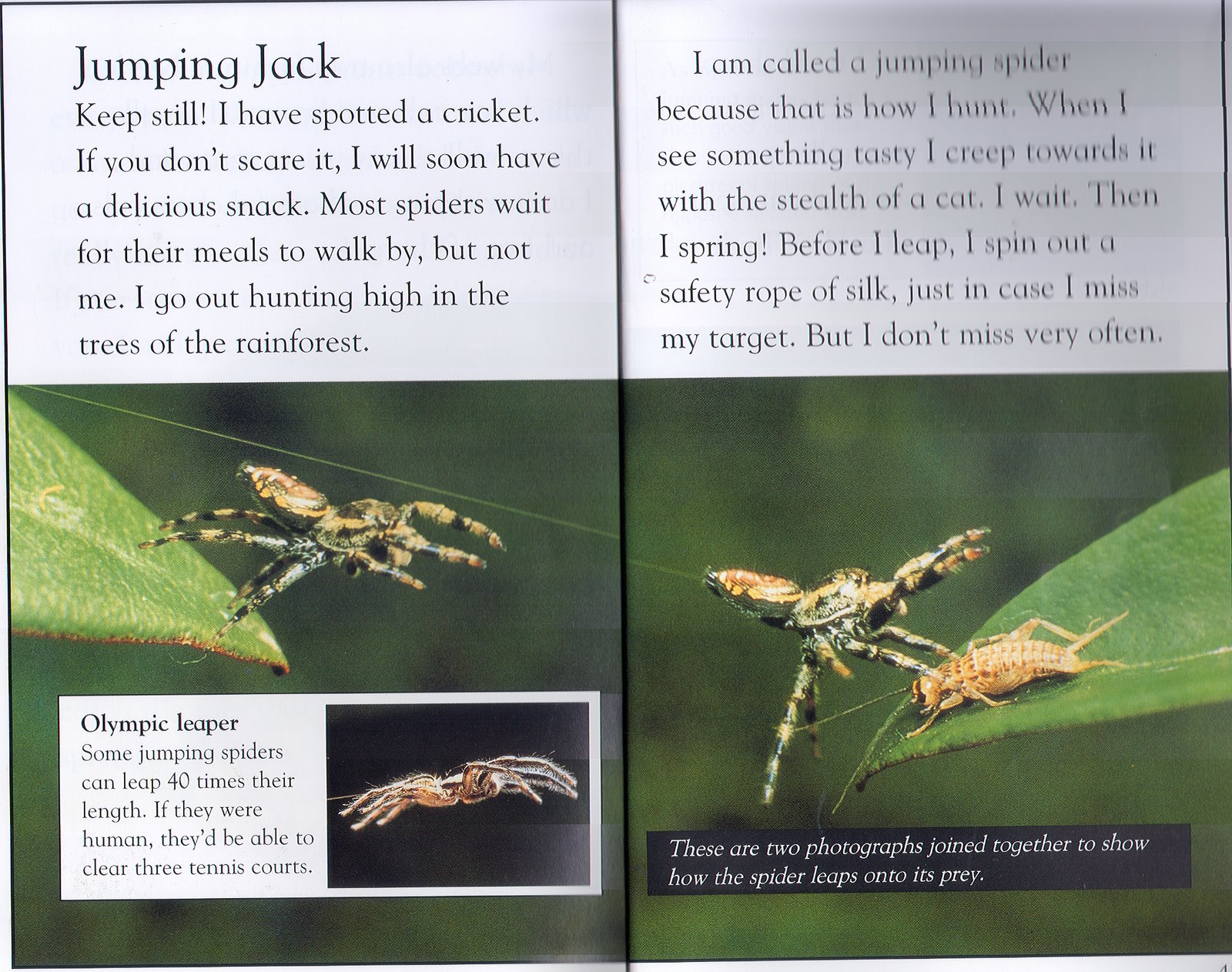 Gateway School – Year 2 Olive: Explanation Texts - Literacy Learning