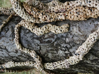 Barbara De Pirro 'biomimicry': 'roots & vines: plastica' - CoCA Seattle