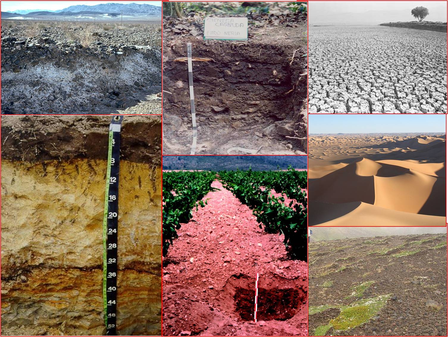 MARIANA MAMANI LARICO: FACTORES EDAFICOS