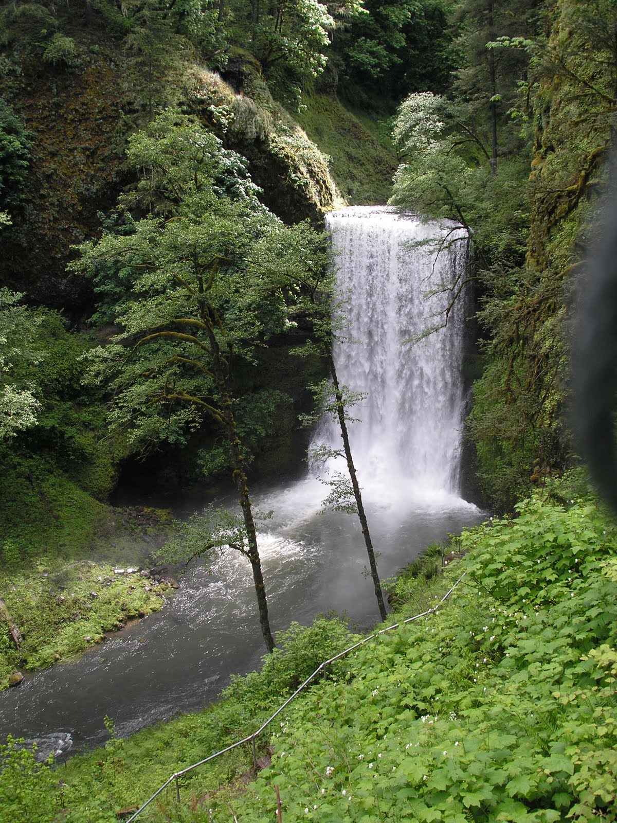 Travel with the Slivas: Silver Falls State Park, near Salem OR