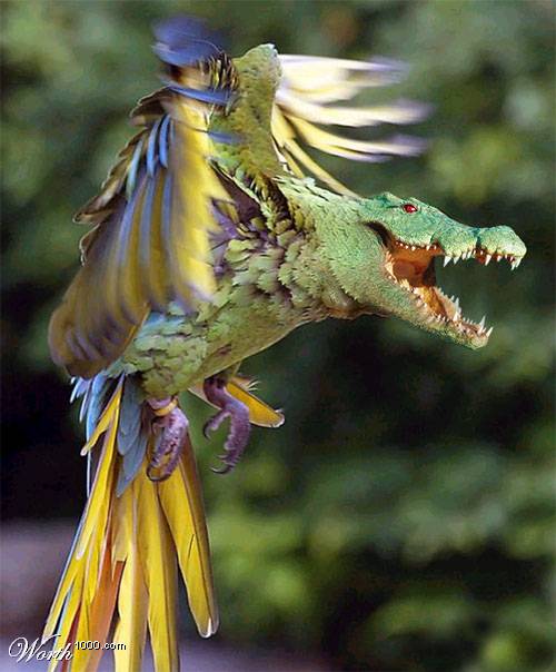 Felts Photography: The Blog: Animal Mix-up #4