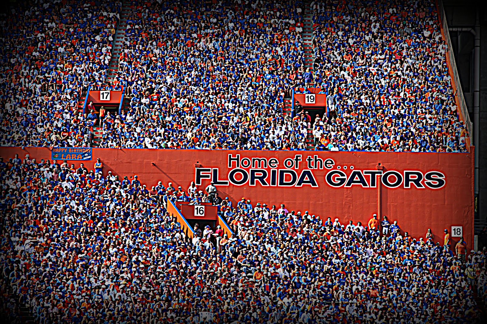 Madilun Photography: Welcome to the Gator Nation.