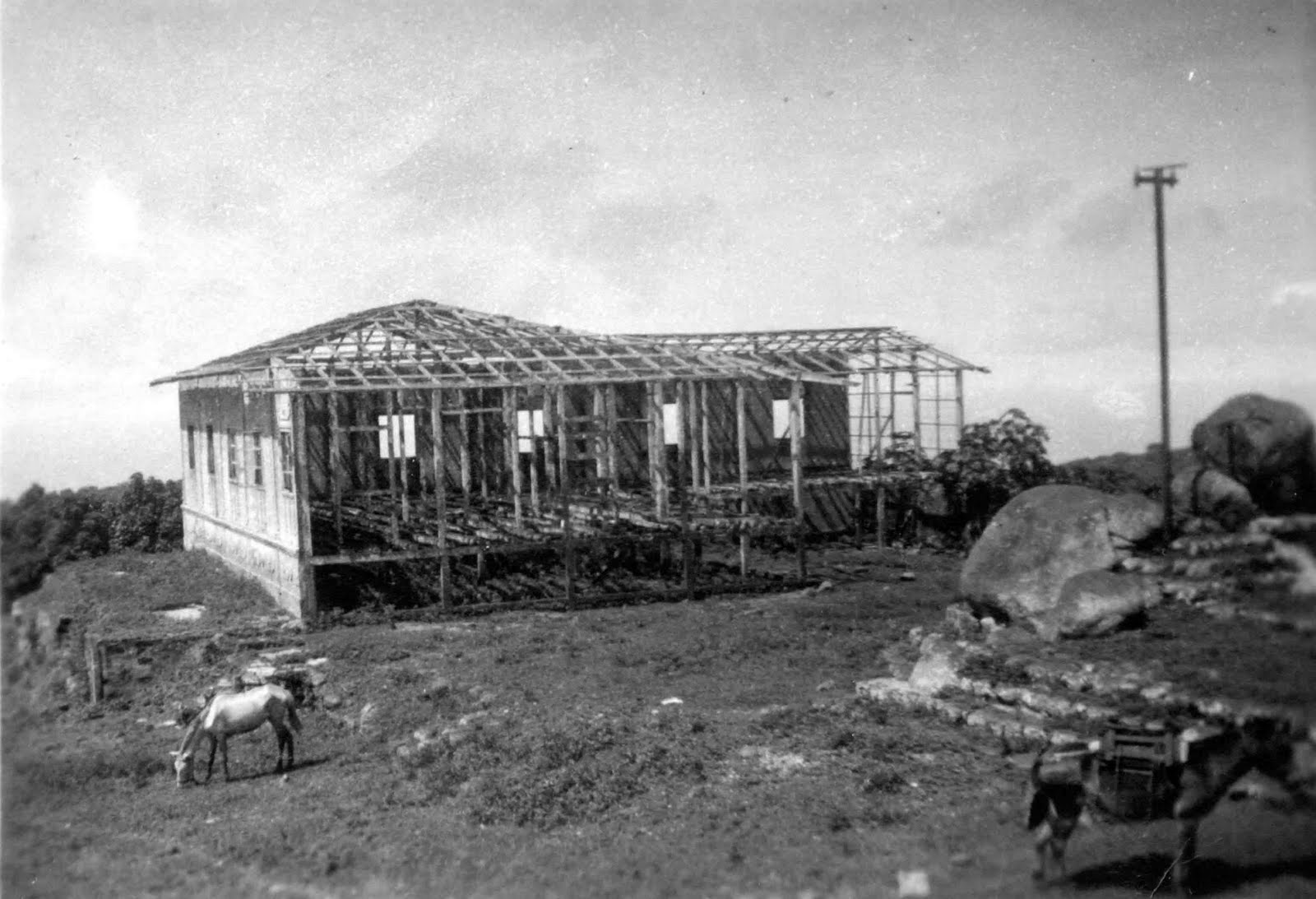 Ecuador: personajes y especies (Galápagos y Continente): Galápagos en ...