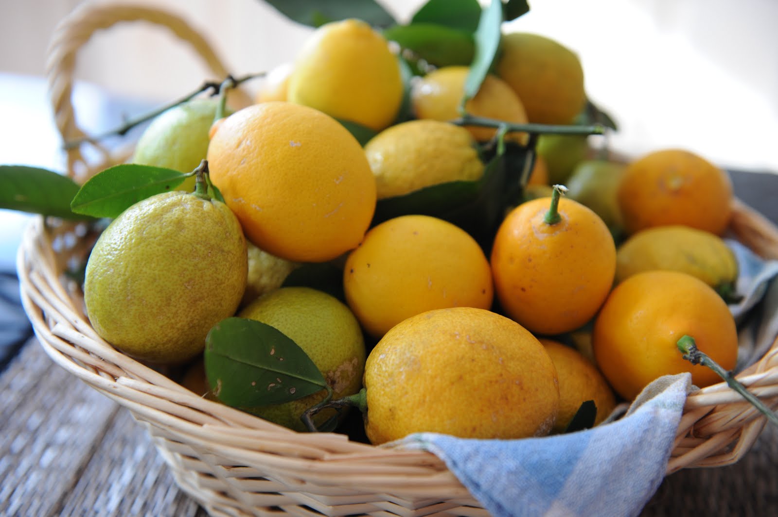 lachinvasion: We Have Lemons!