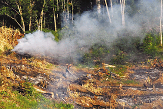 Masalah Pencemaran Global: Punca-Punca Pencemaran Udara