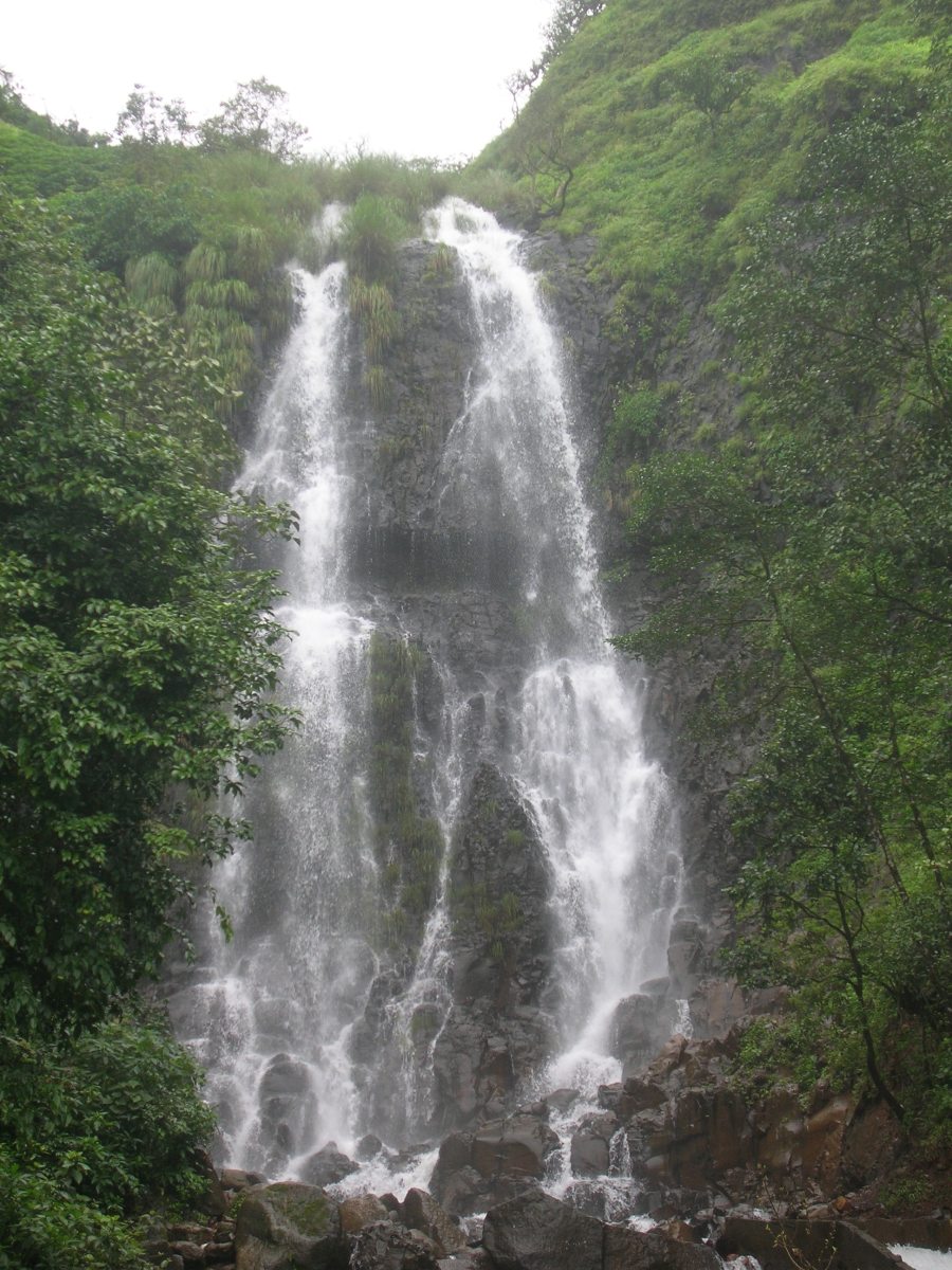 Journeys across Karnataka: Amboli Ghats