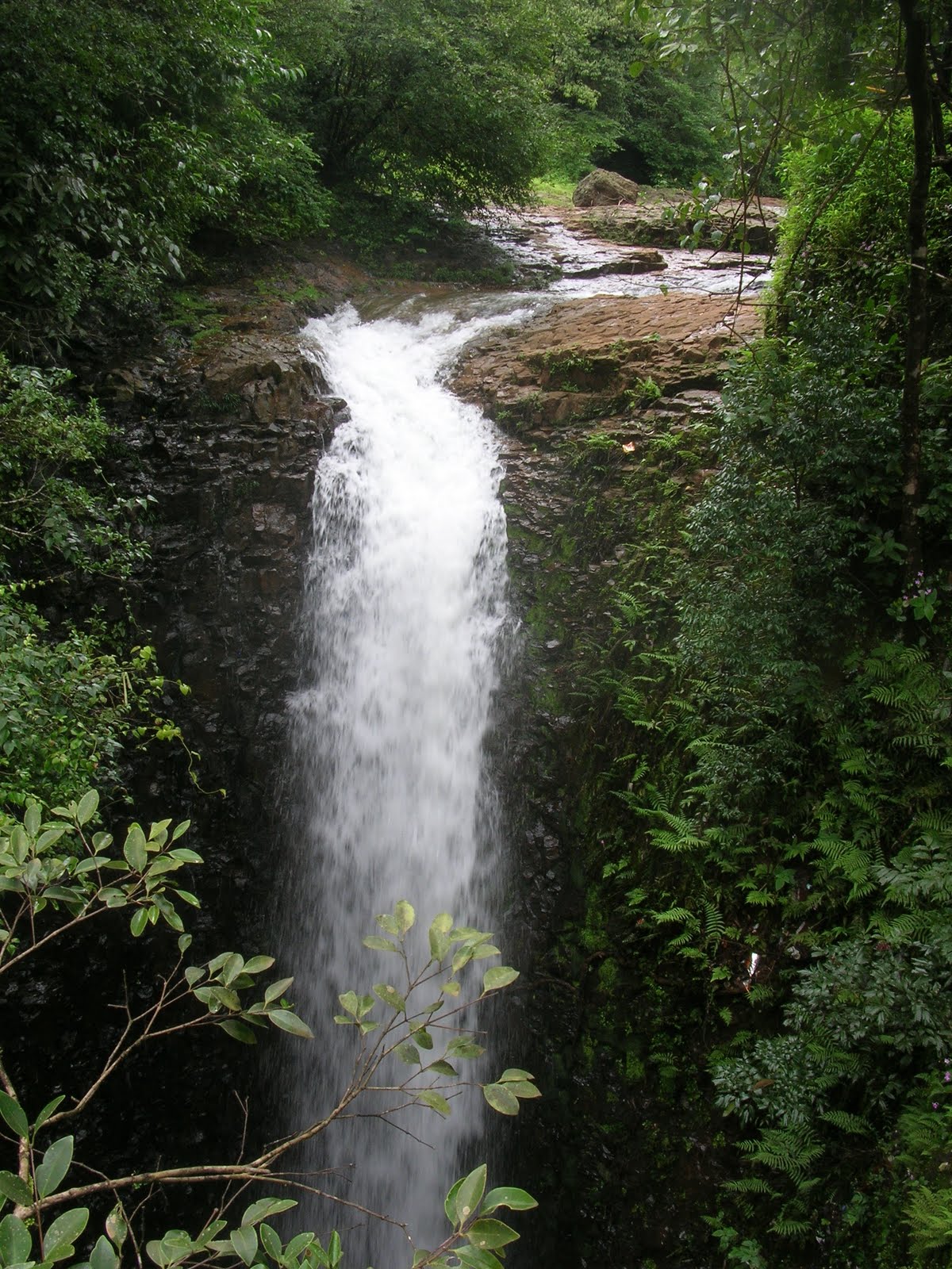 Journeys across Karnataka: Amboli Ghats