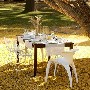 Sheek Shindigs: Naturally Beautiful Fall Table Setting