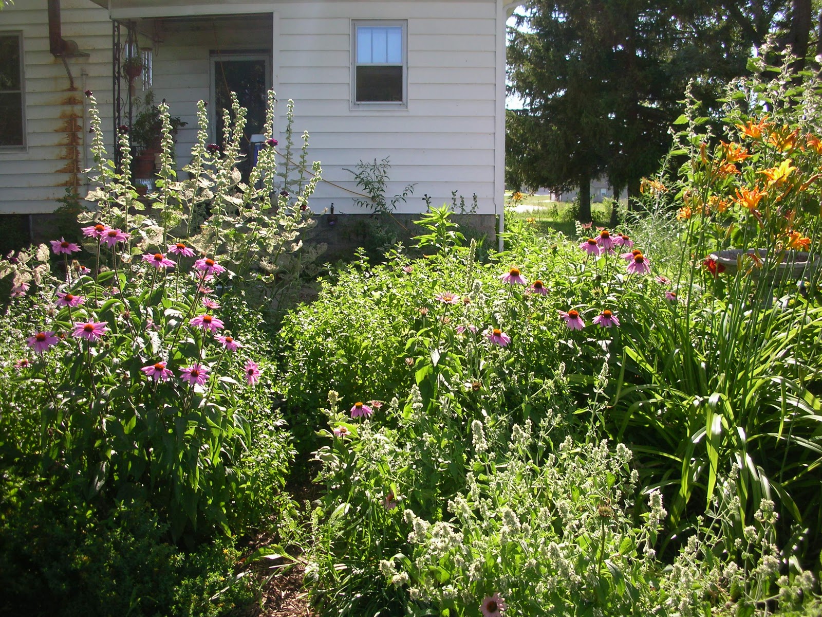 Luna Herb Co. » tenfold path