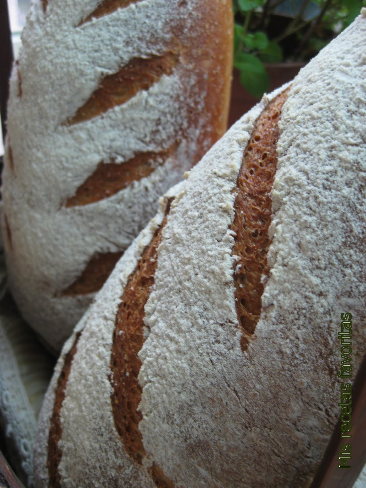 Pan de avena y mermelada de mango - Mis recetas favoritas by Hilmar