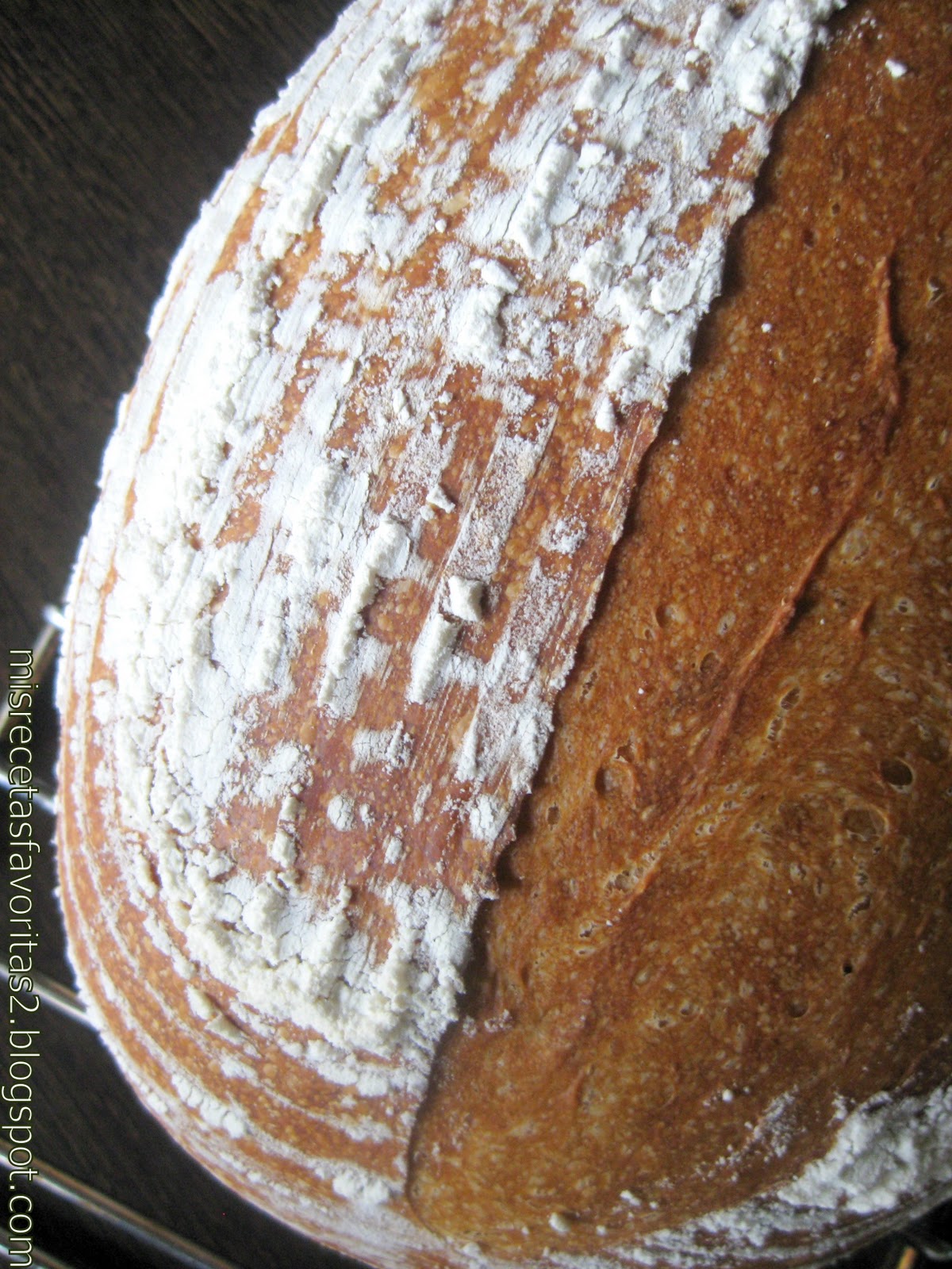 Recetas Faciles: Pan con prefermento de uvas pasas II