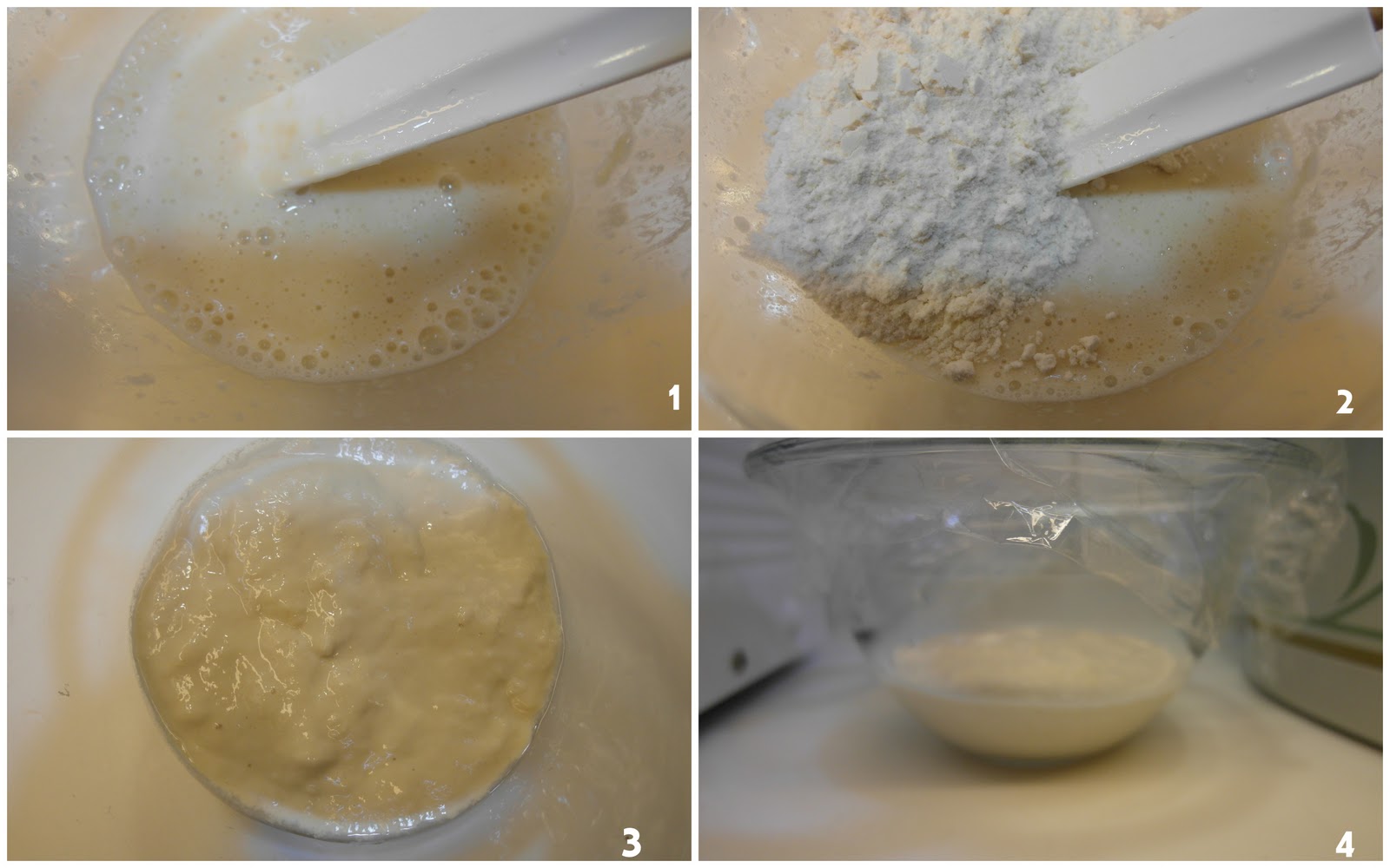 El Gourmet Urbano: Mi masa madre, por Hilmar Arévalo