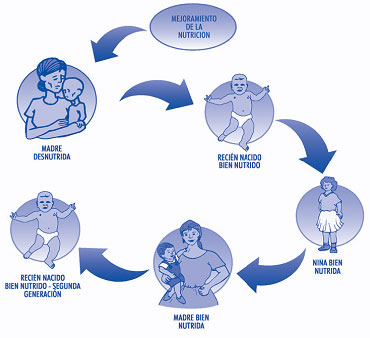 SALUD Y BIENESTAR: IMPORTANCIA DE LA NUTRICIÓN EN EL DESARROLLO INFANTIL