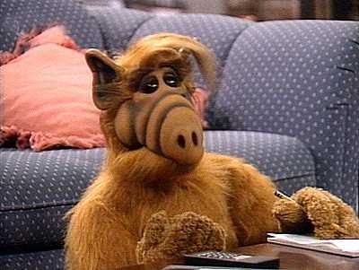 On ALF Season One Episode 11 ~ One Year in Texas