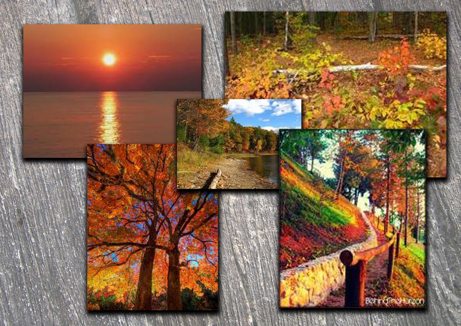 ~Stacie~: 5 Mood Board