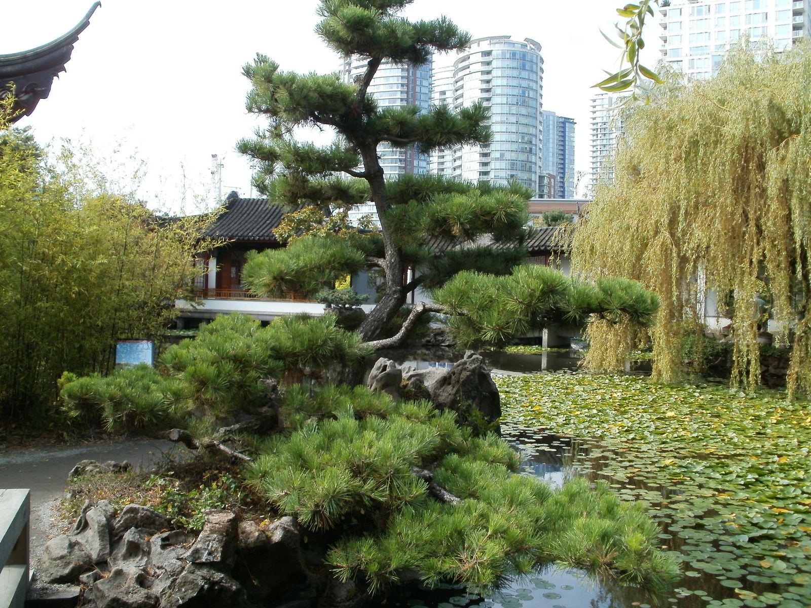 Mark's Veg Plot: The Sun Yat Sen Garden, Vancouver