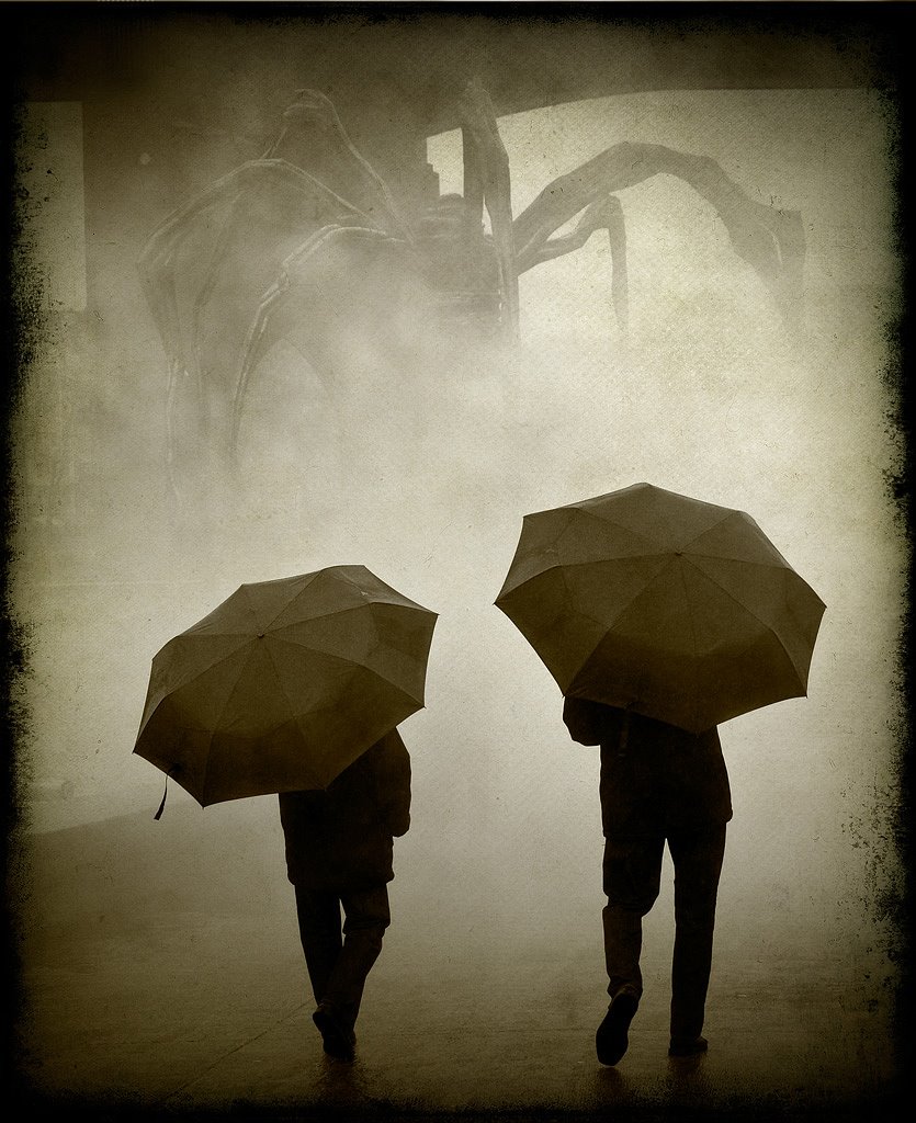 elfotovisor: ARACNOFOBIA