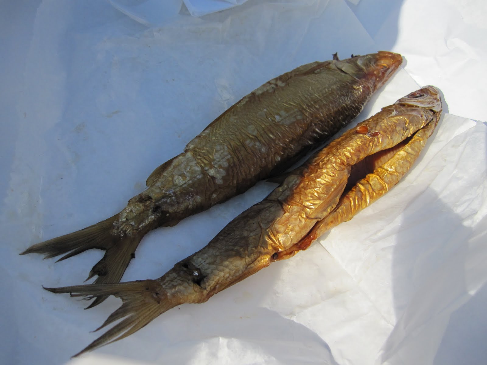 Chicago: Calumet Fisheries