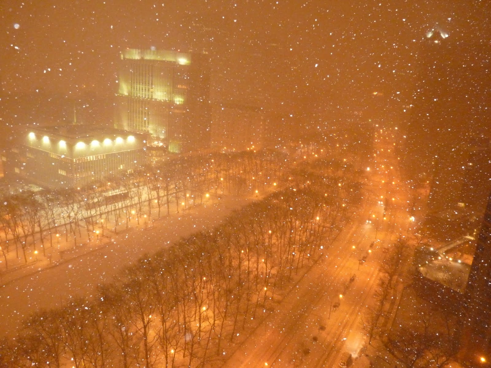 mcbrooklyn: Snow Blankets Brooklyn Heights; Subway and Bus Service Changes