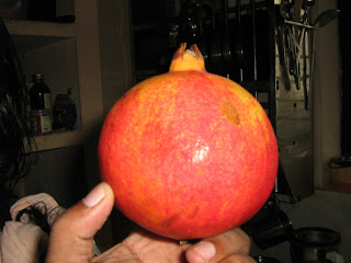 magic moments: Mathala Naranga (Pome granate)