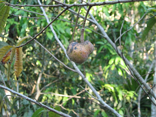 Thookkupalam - JungleKey.in Image