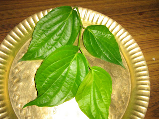 Nature shots: Vettila(Betel leaves)
