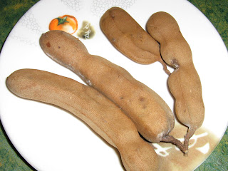 Nature shots: Valan puli