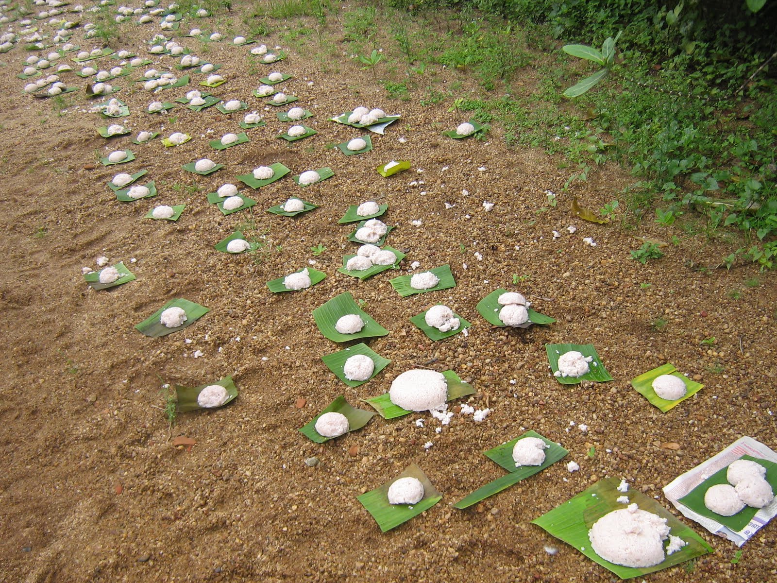 Nature shots: Bali Tharpanam-A tribute to ancestors