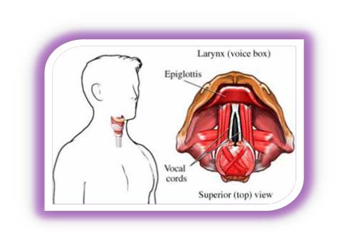 laringitis agudas y cronica