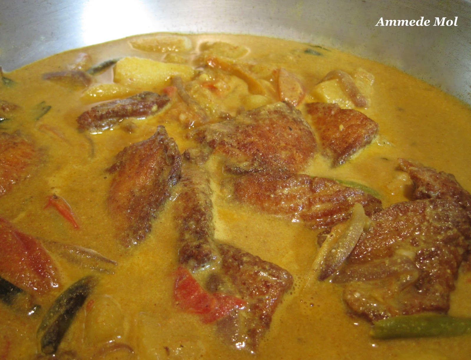 Ammede Mol: Fish Moilee