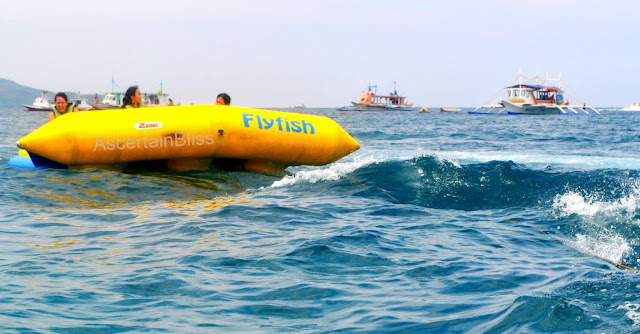 Ascertain Bliss: Flying Fish, Boracay