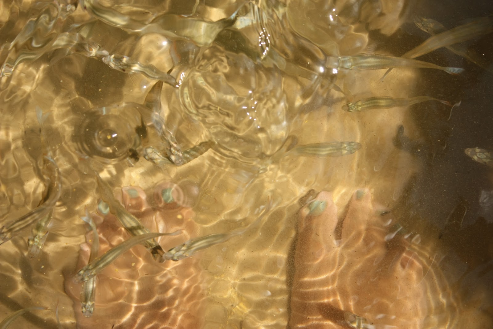 . a caderneta da maria .: Pulos e pés em Jericoacoara